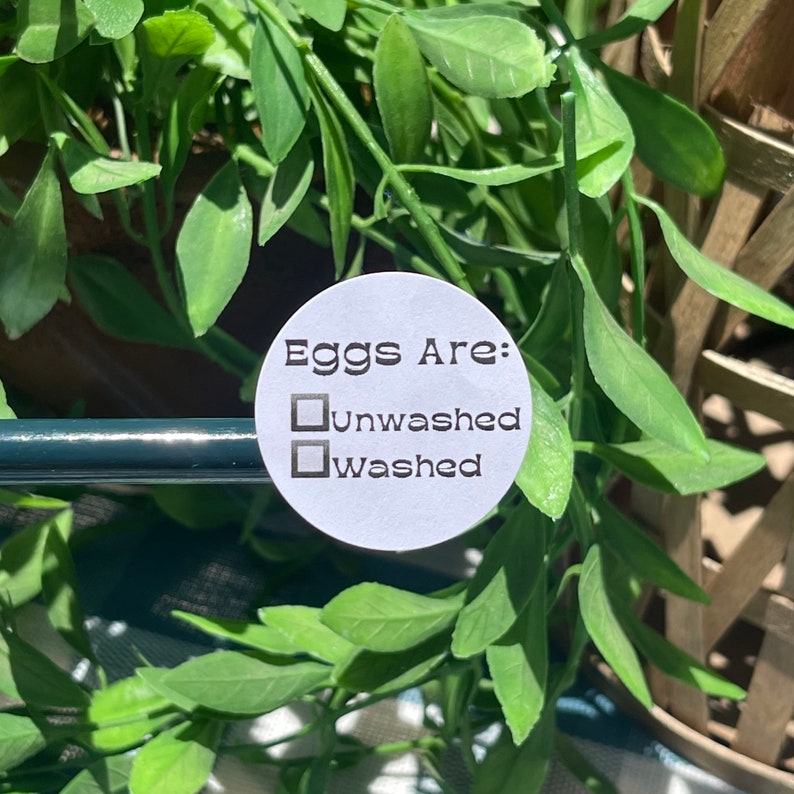 96 Washed/unwashed Egg Carton Labels Stickers - Etsy