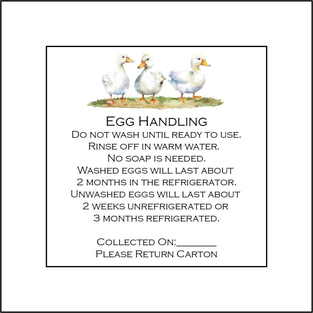 36 Duck Egg Handling Care Carton Labels Stickers - Etsy