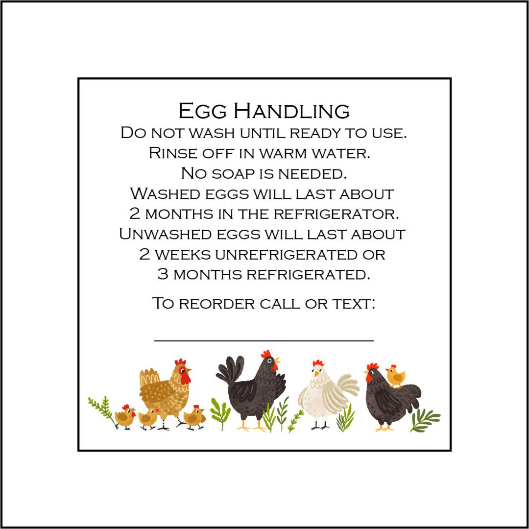 36 Egg Handling Care Carton Labels Stickers - Etsy