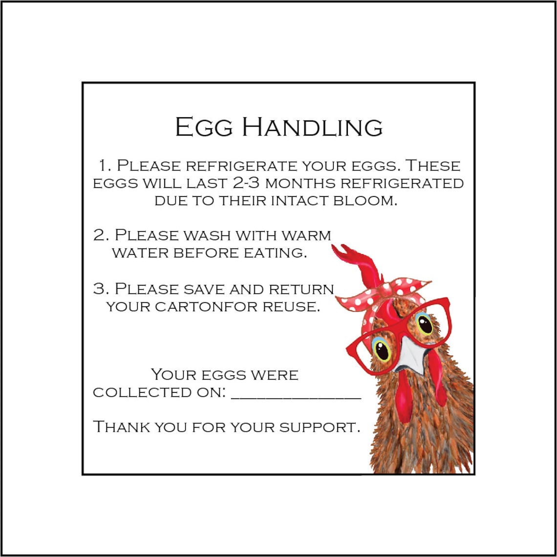 36 Egg Handling Care Carton Labels Stickers - Etsy