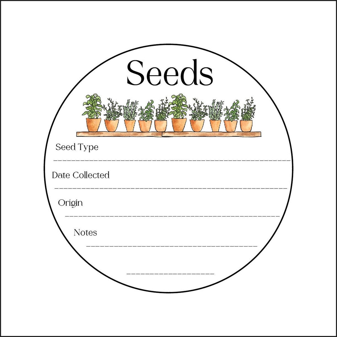 Seed Packet Labels Stickers 30 3 or 36 2.5 - Etsy