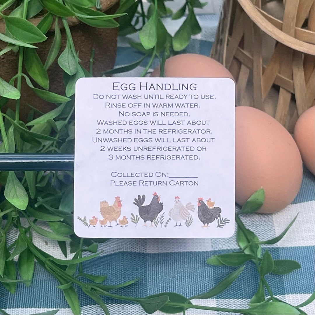36 Egg Handling Care Carton Labels Stickers - Etsy