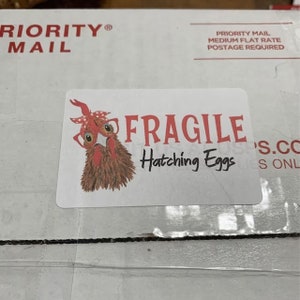 40 Fragile Hatching Eggs Labels Stickers - Etsy
