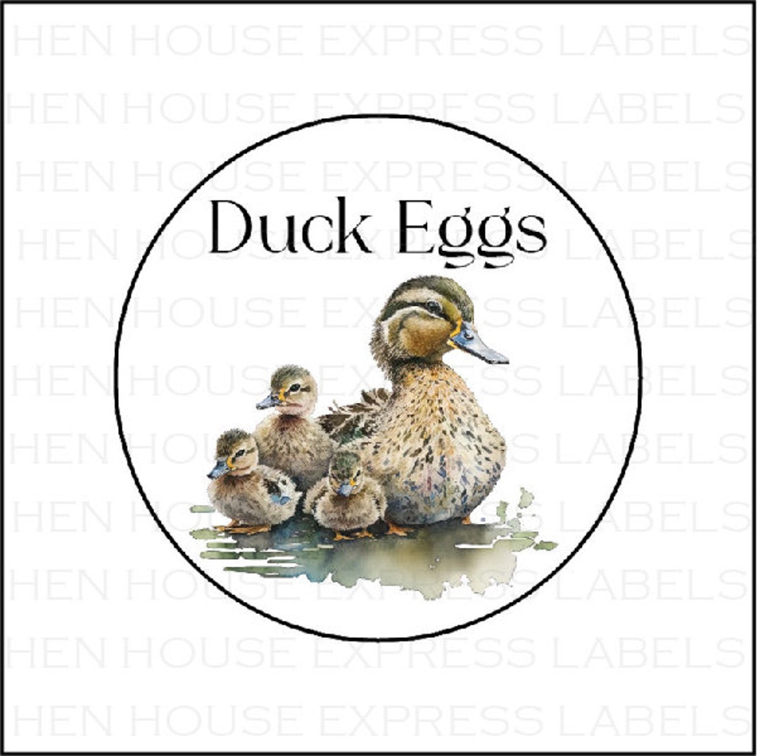 40 Duck Eggs Carton Labels Stickers - Etsy