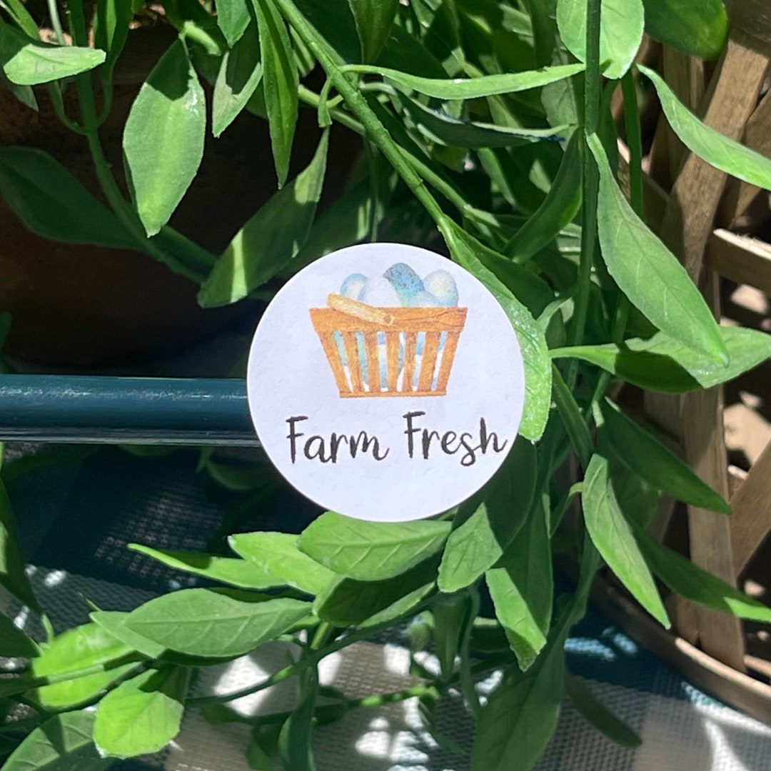 96 Farm Fresh Egg Carton Labels Stickers - Etsy