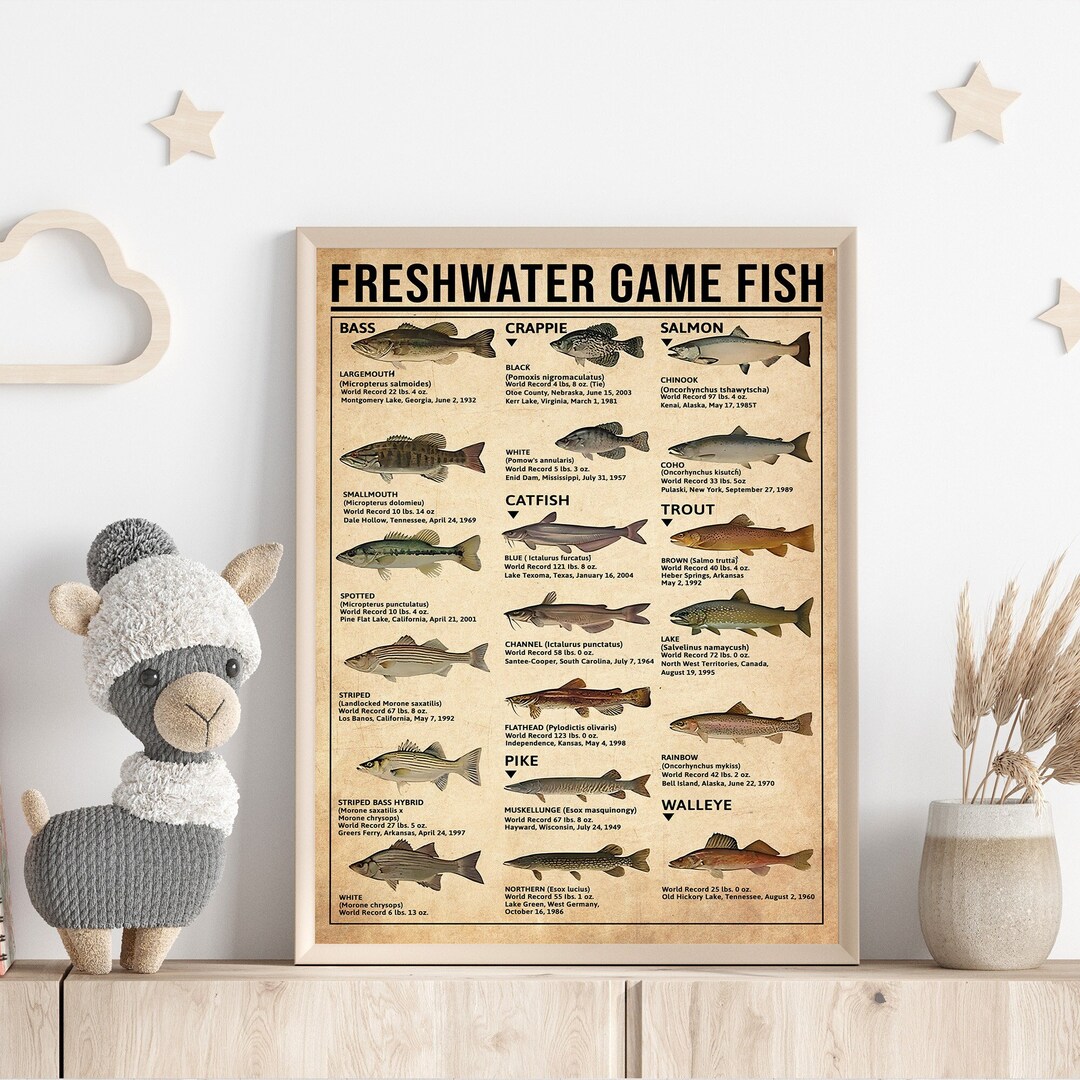 Freshwater Game Fish Knowledge Poster, Fishing Guide Print, Fishing ...