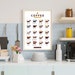 Essential Guide to Coffee - Etsy