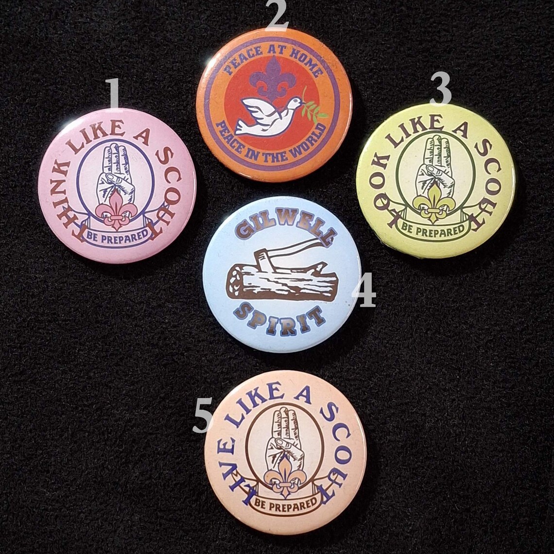 Scouting Mastery Kit: Accessories, Badges, and Gear for Outdoor Skills ...