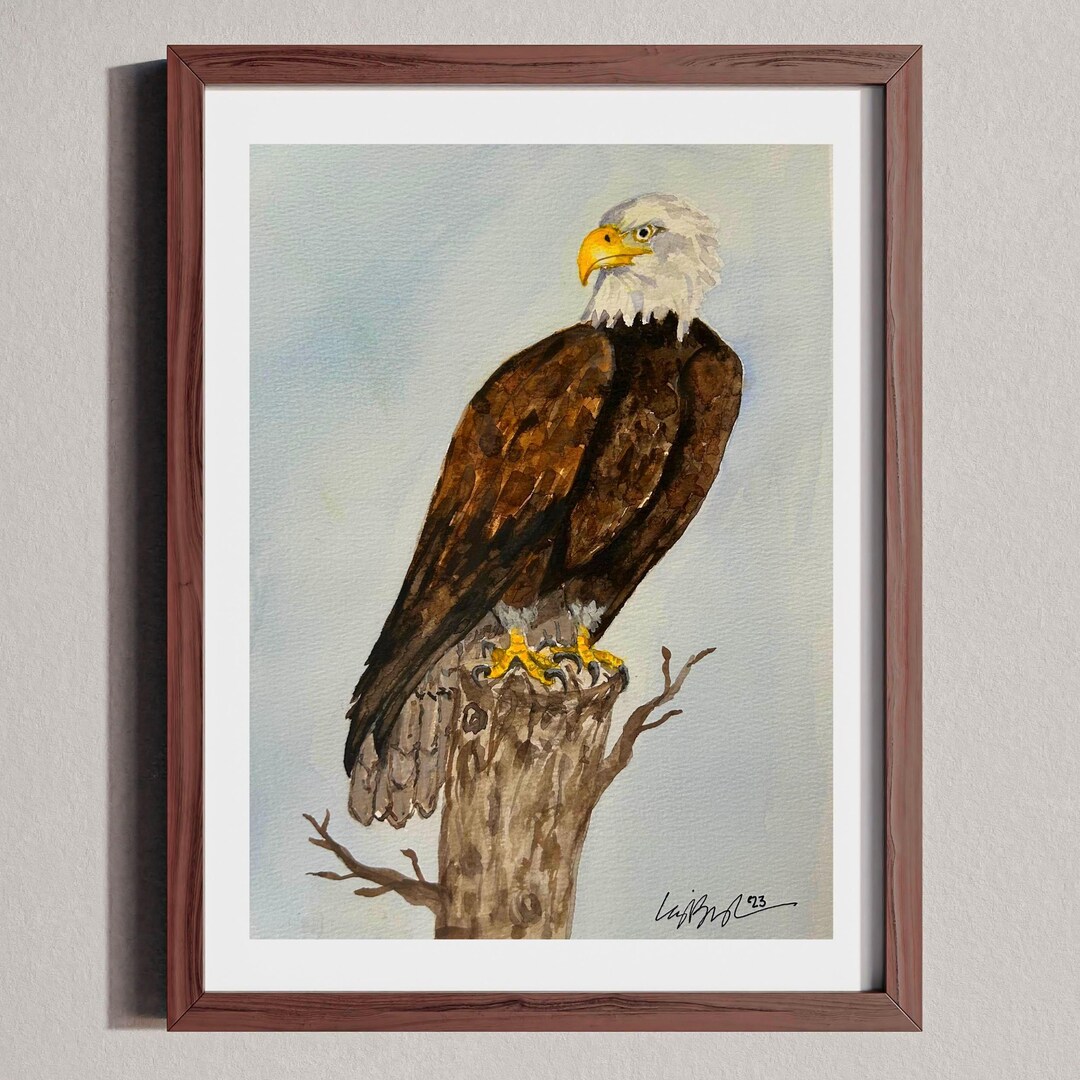 Original Bald Eagle Watercolor Painting: Hand Painted Bird Art (9x12 ...
