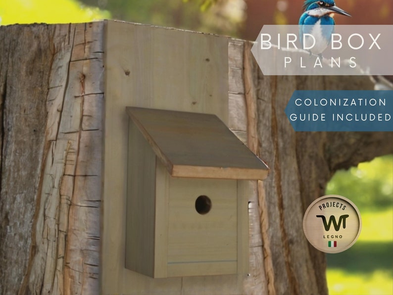 Bird House Plans | Project for Kids | Animal Box Learning | Wooden ...
