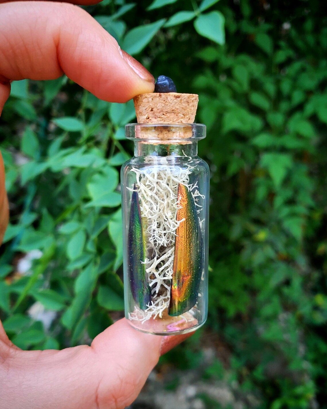 Real Jewel Beetle Wings Thailand Fairy Bookshelf Small Glass Cork Jar ...