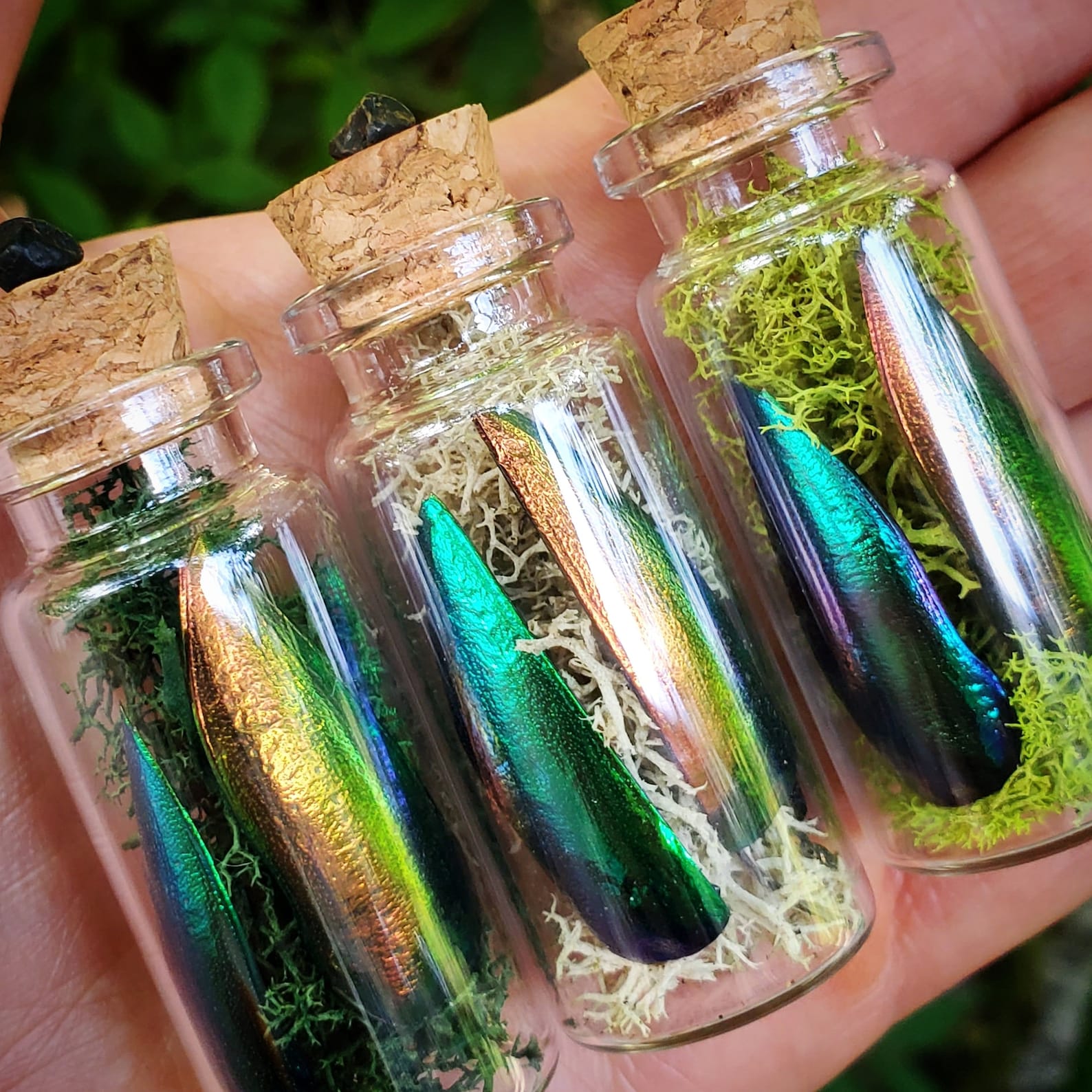 Real Jewel Beetle Wings Thailand Fairy Bookshelf Small Glass Cork Jar ...