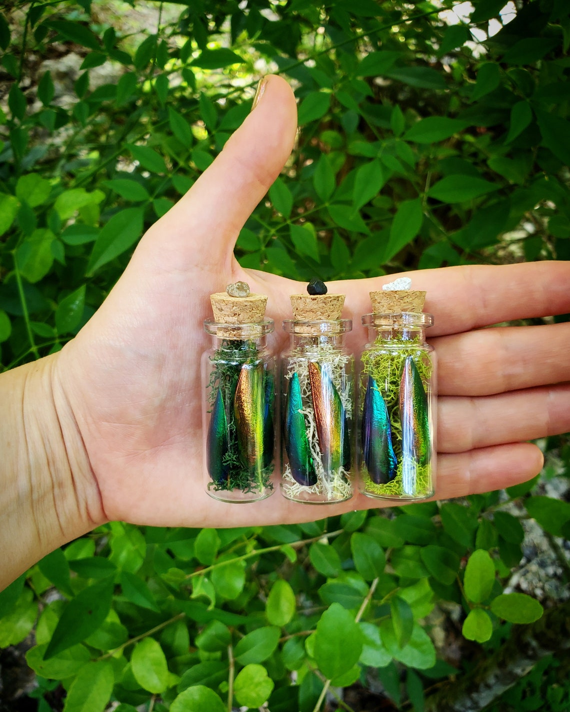 Real Jewel Beetle Wings Thailand Fairy Bookshelf Small Glass Cork Jar ...