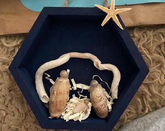 Seashell Nativity - Etsy