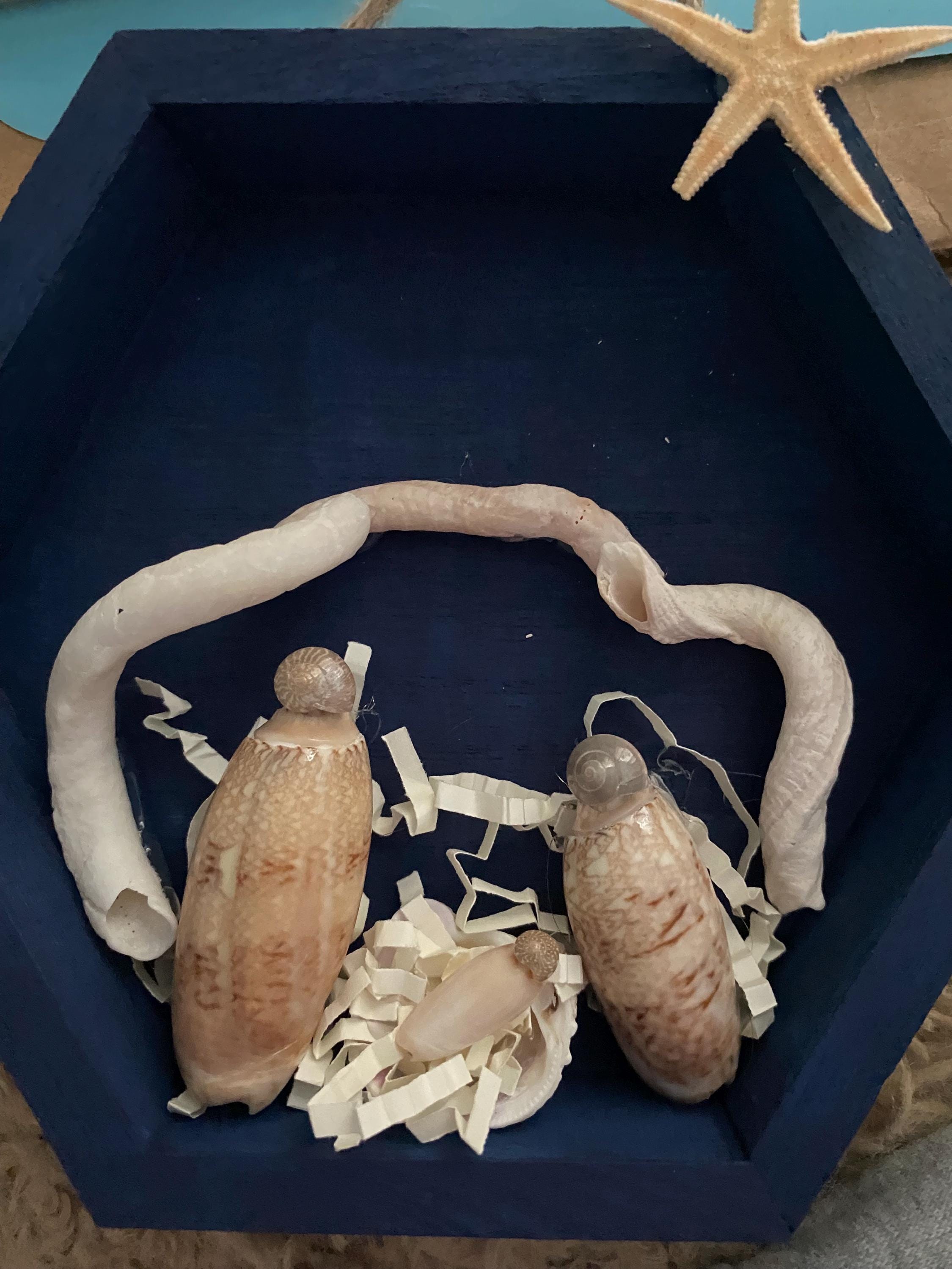 Hanging Seashell Nativity Scene - Etsy