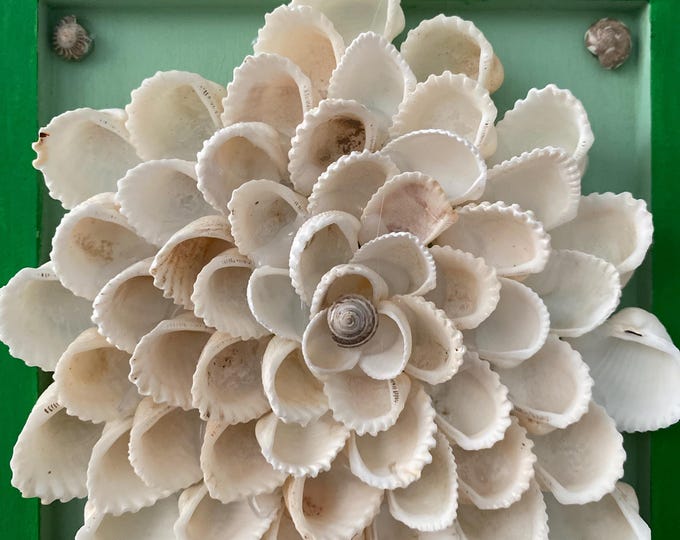 Hanging Seashell Flower Bouquet - Etsy