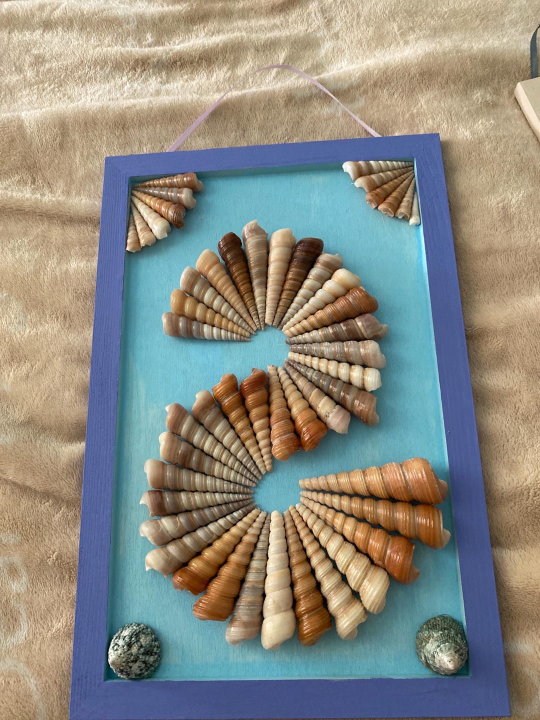 Seashell Wall Decor - Etsy