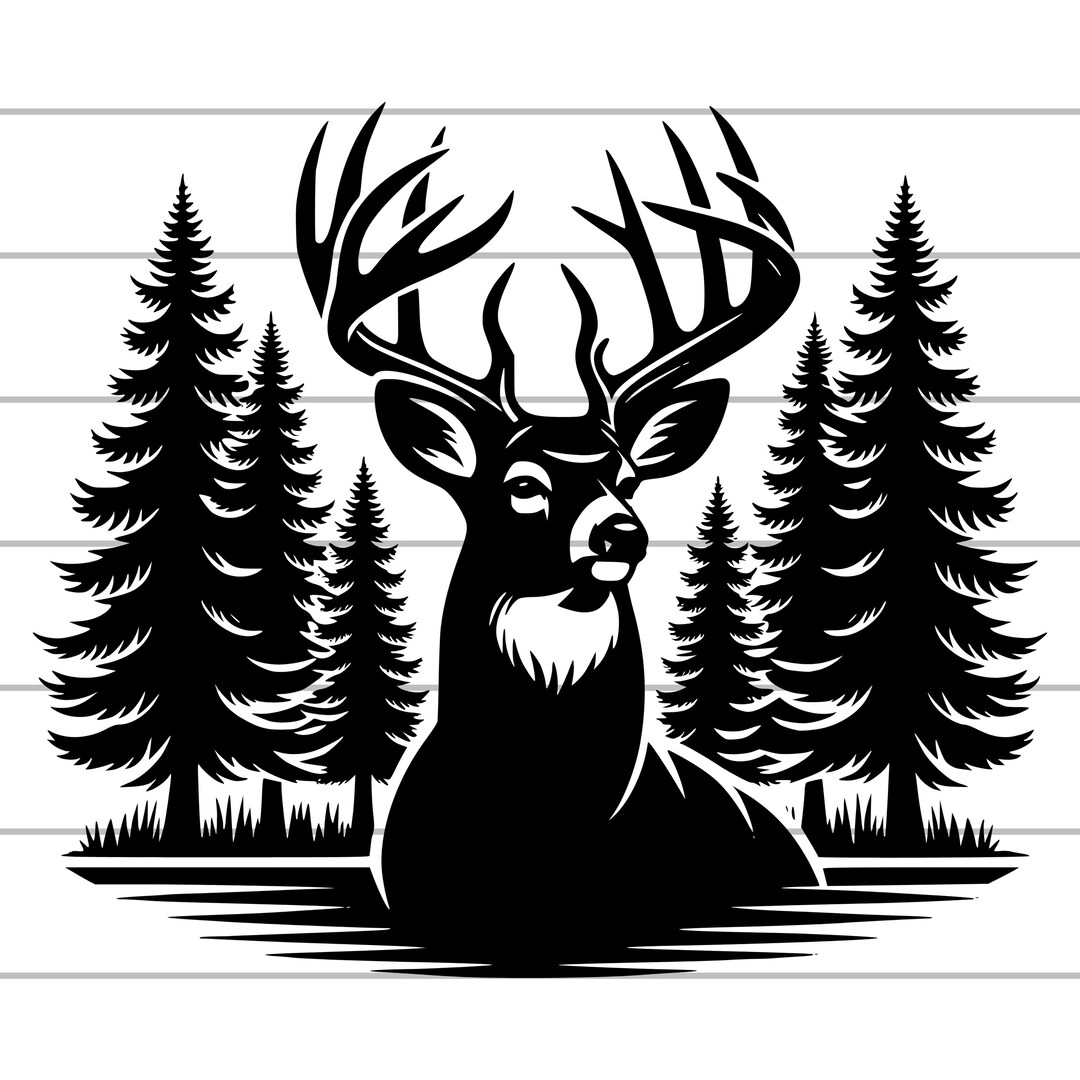 Whitetail Buck Png, SVG, Deer Svg, Hunting Sublimation, Deer Gifts ...