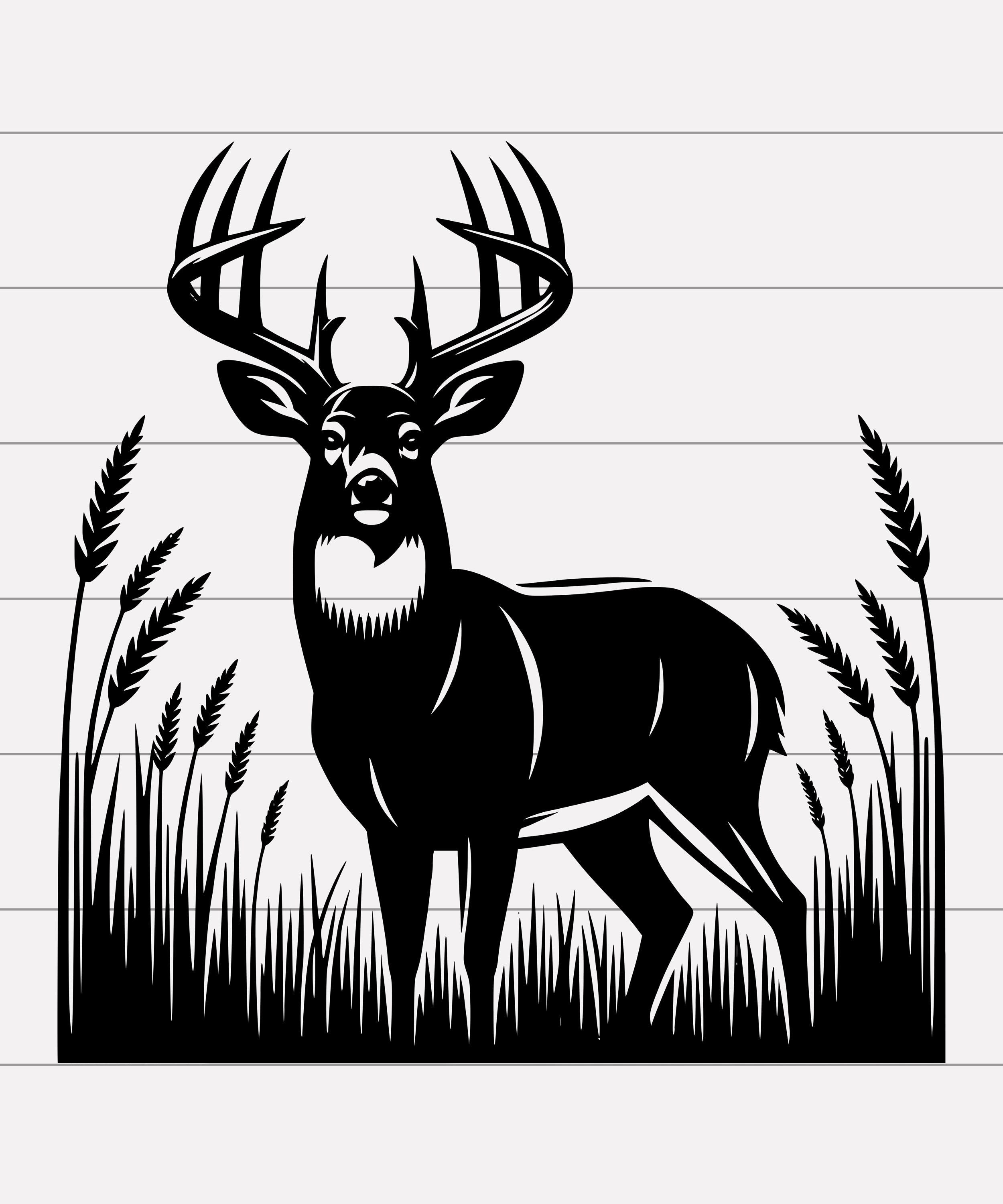Whitetail Buck PNG, SVG, JPEG. Deer Svg, Hunting Sublimation, Deer ...