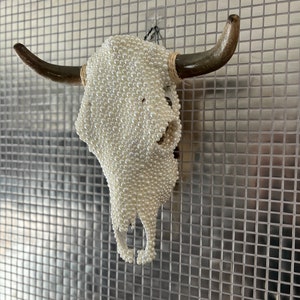Pearl Encrusted Cow Skull - Etsy