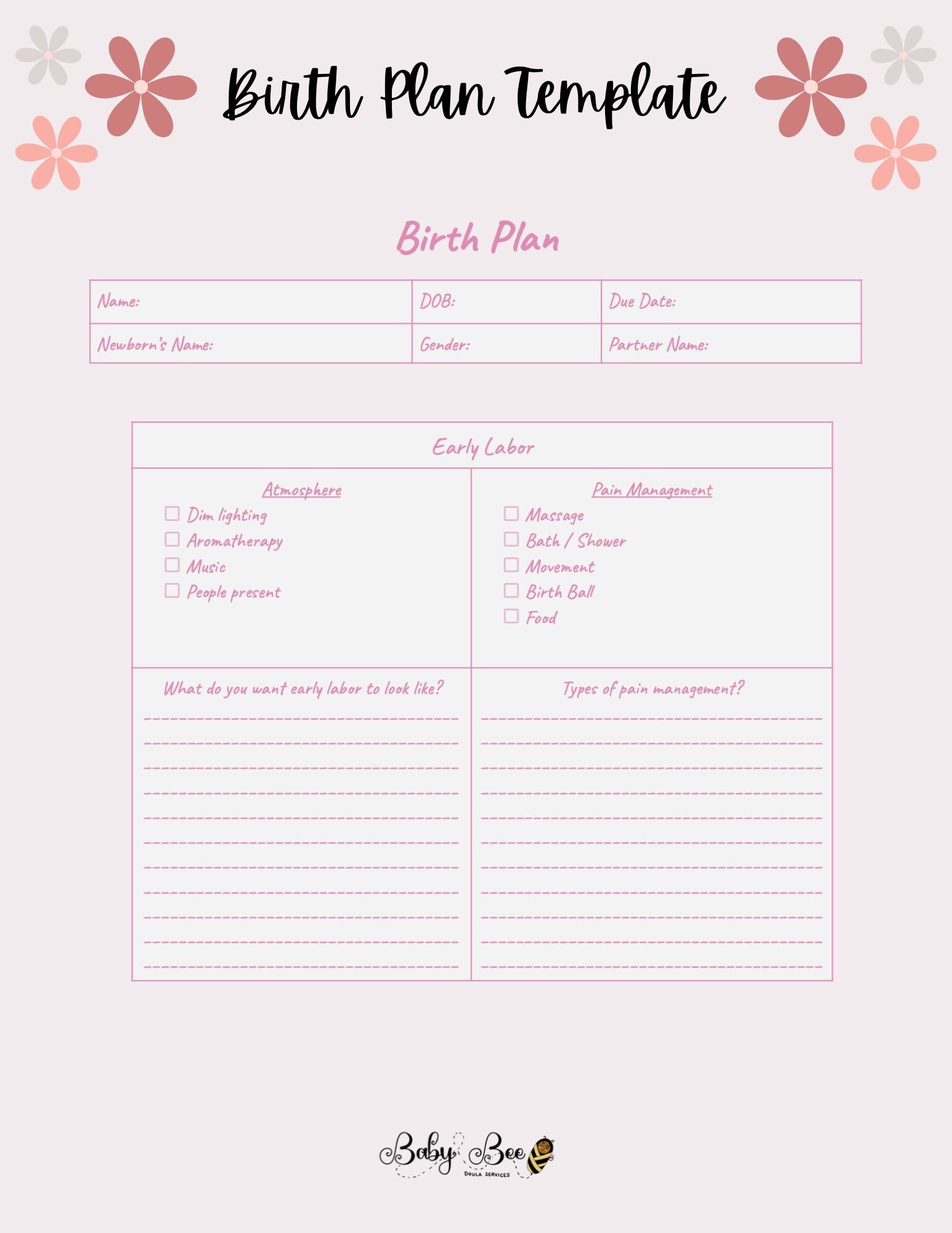 Birth Plan Template - Etsy