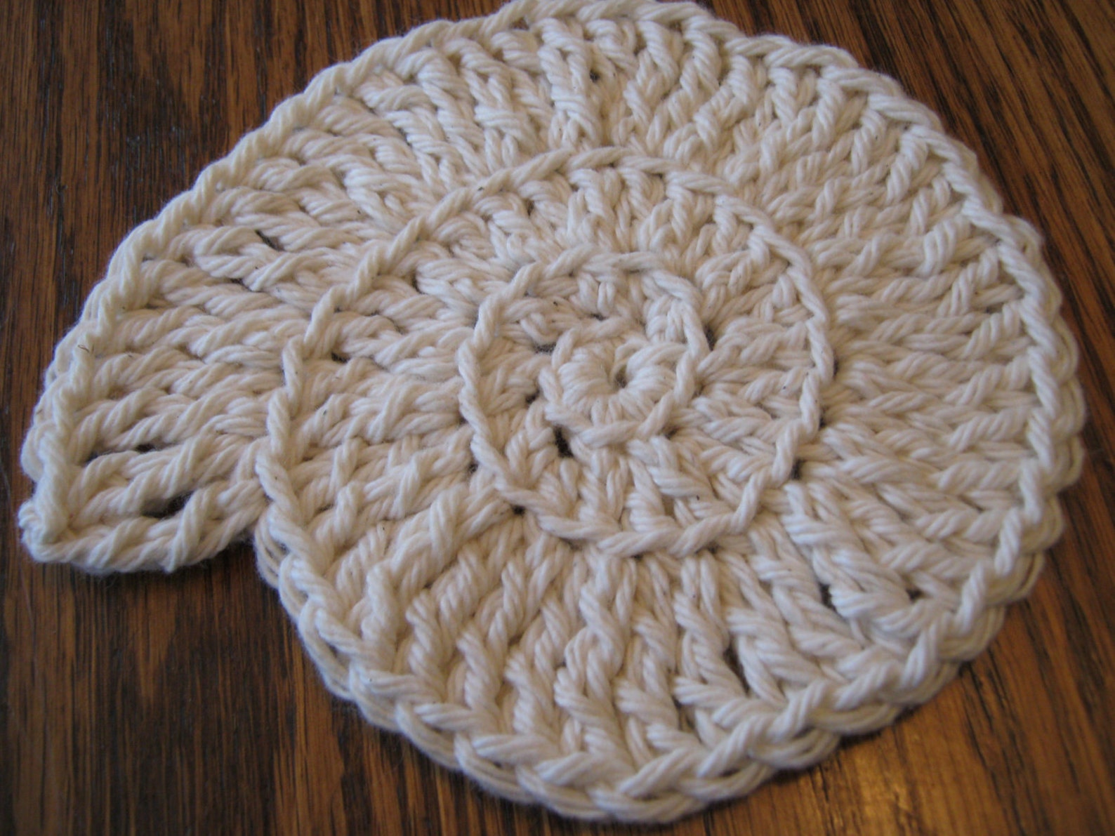 Sea Shell Coasters - Etsy