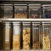 Custom Labels Forpantry/ Kitchen Signs/ Pantry Shelves/ Pasta Stickers ...