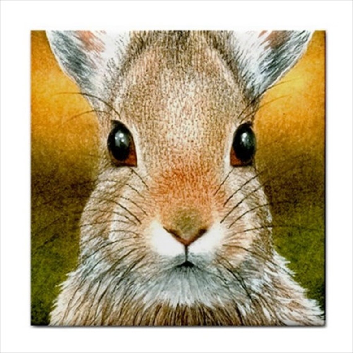 Ceramic Tile 6x6 Inches Decorative Tile Rabbit Bunny Hare - Etsy