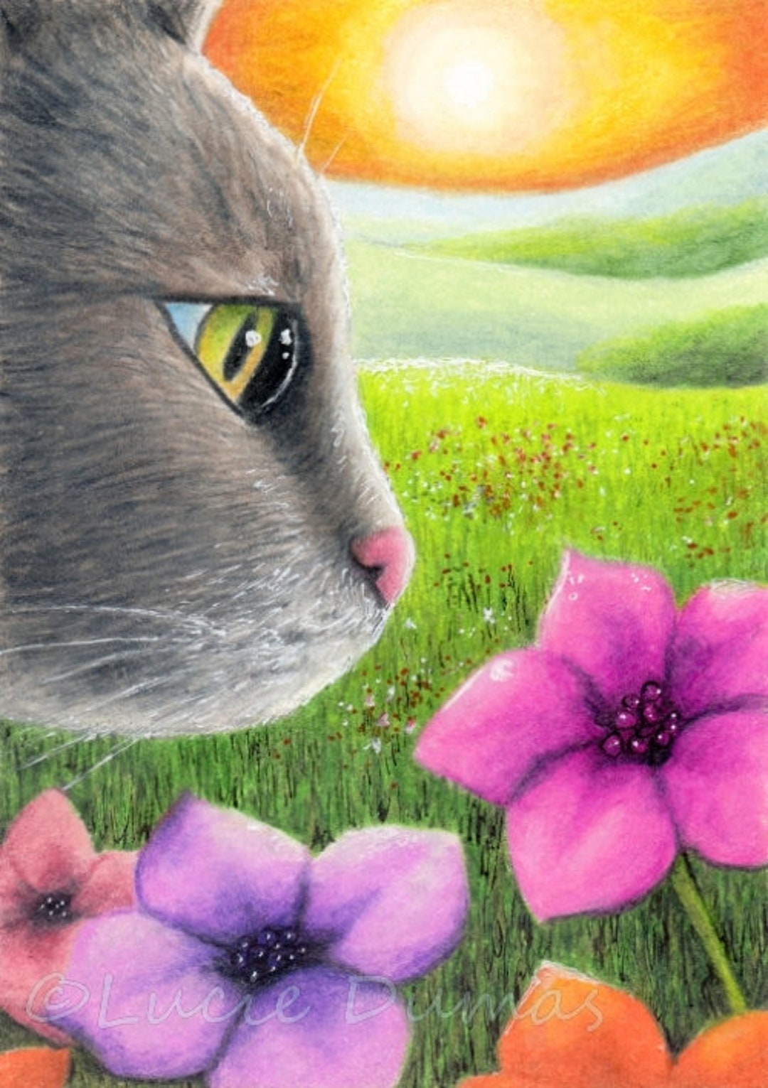 Laminated Fridge Magnet, Cat Magnet, Print, ACEO, Cat 647 Flower Sunset ...
