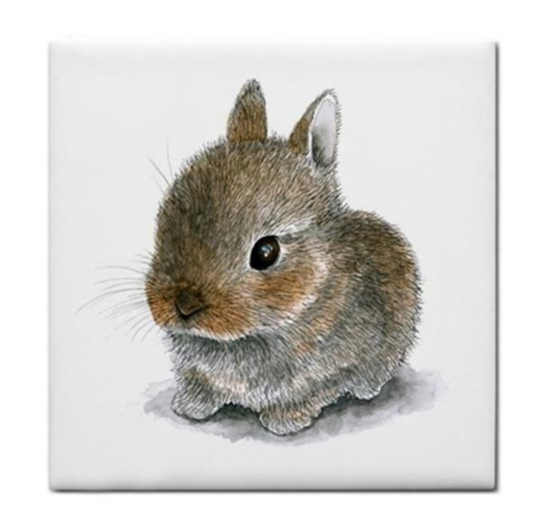 Ceramic Tile, Rabbit Tile, 6x6 or 8x8 Inches, Rabbit Hare 61 Art ...