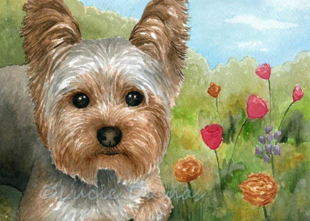 Laminated Fridge Magnet Dog Magnet Yorkshire Magnet Print - Etsy