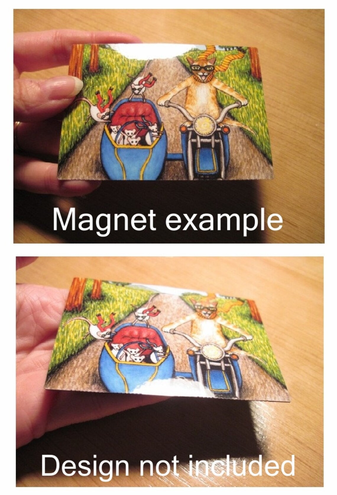Laminated Fridge Magnet Cat Magnet Print ACEO Cat 595 | Etsy
