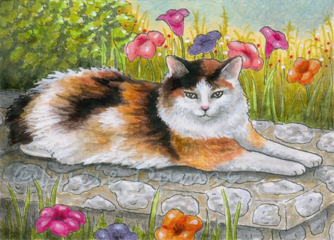 Laminated Fridge Magnet Cat Magnet Print ACEO Cat 595 - Etsy