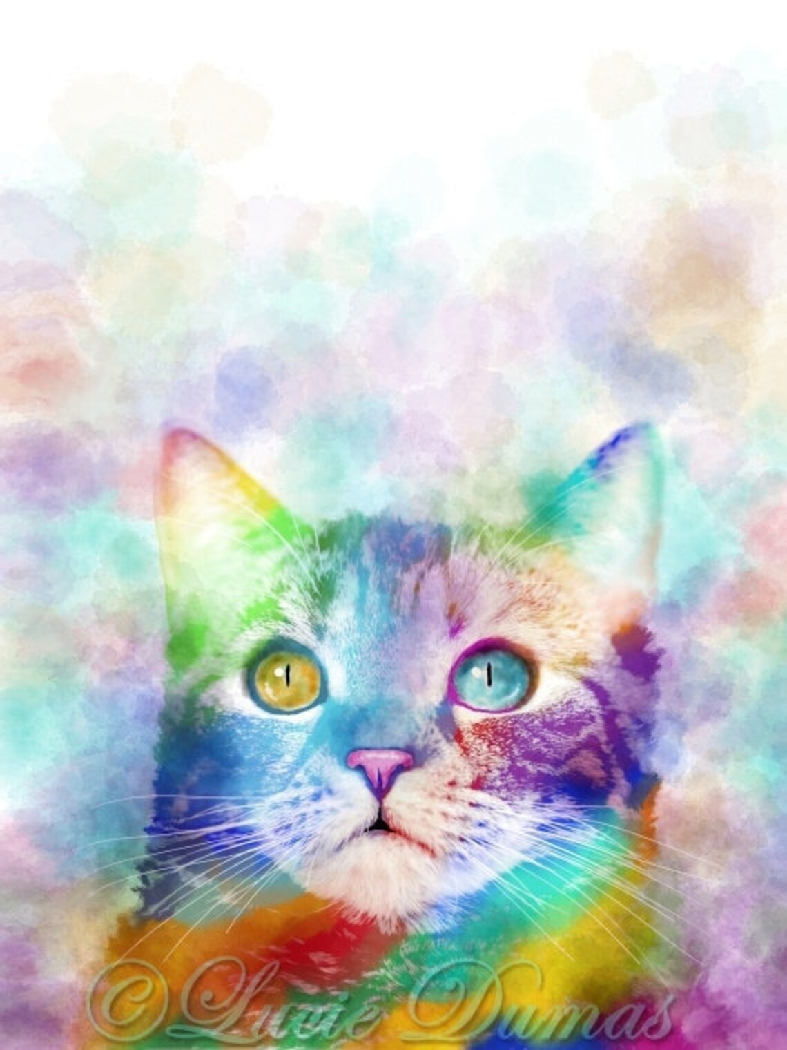 Laminated Fridge Magnet, Cat Magnet, Multicolor Cat Magnet, Print, ACEO ...