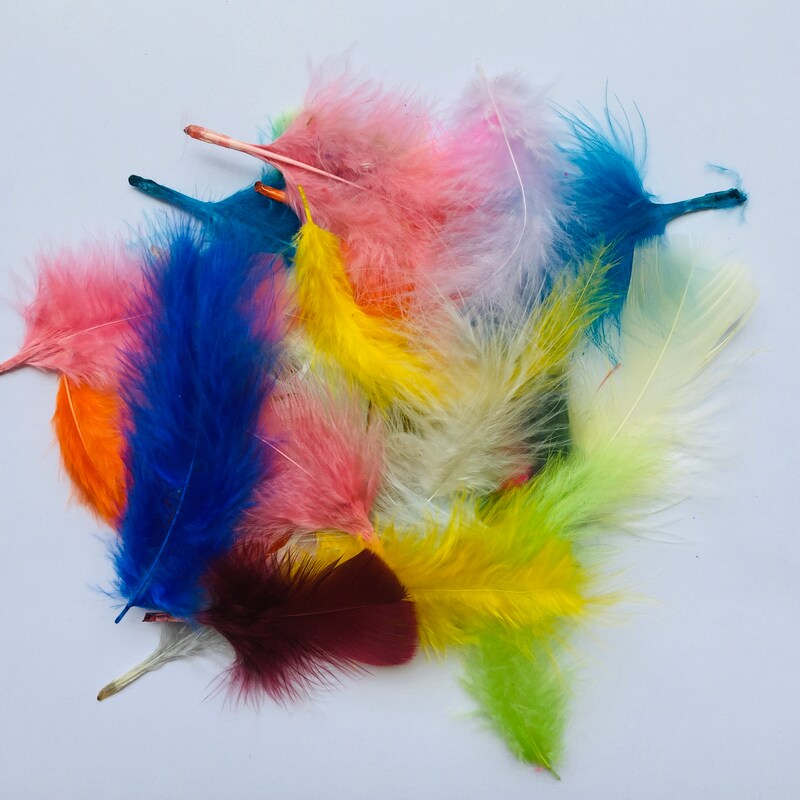 Craft Feathers - Etsy