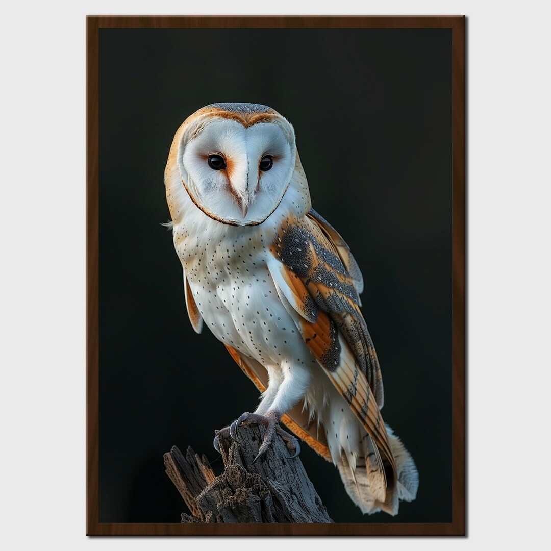 Barn Owl Wall Art Printable, Dark Cottage Core Victorian Print, Owl ...