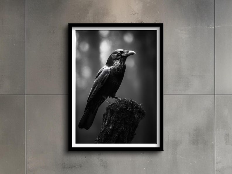 Common Raven Black and White Portrait Print, High Quality Bird Wall Art ...