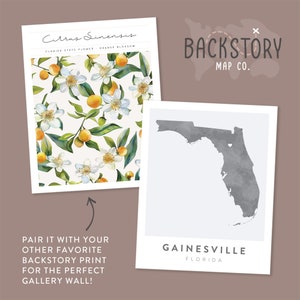 Gainesville, Florida Map Poster - Etsy