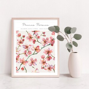 Delaware State Flower Art - Etsy