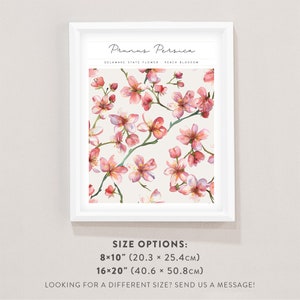 Delaware State Flower Art - Etsy