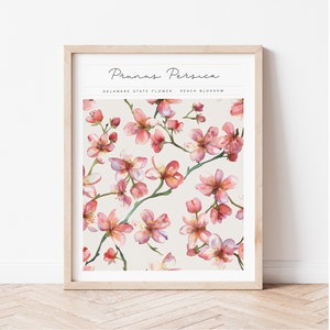 Delaware State Flower Art - Etsy Canada