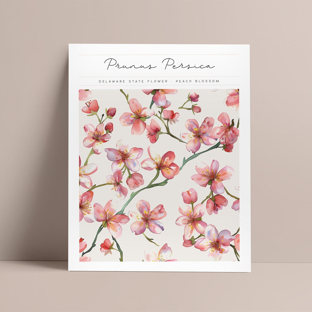 Delaware State Flower Art - Etsy