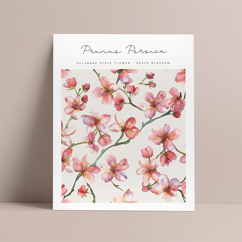 Delaware State Flower Art - Etsy