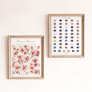 Delaware State Flower Art - Etsy