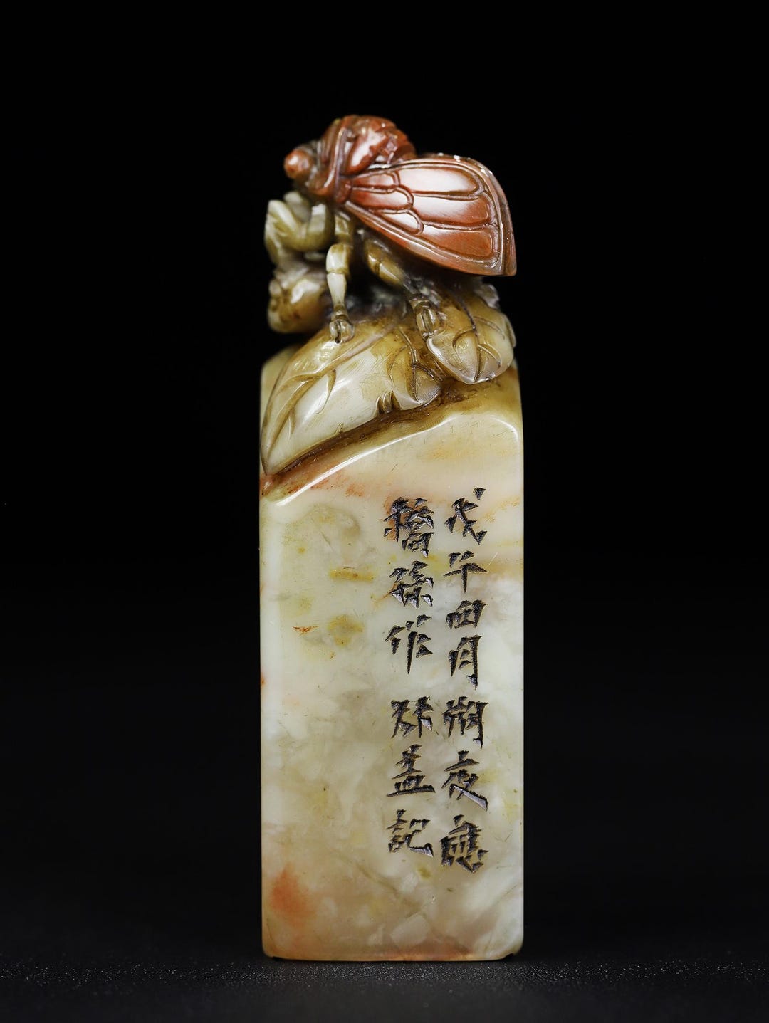 Hand-carved Shoushan Stone Cicada Seal: Feng Shui Desk Decor - Etsy