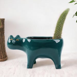 Goofy Cat Ceramic Planter, Succulent Plant Pots, Funny Animal Cactus ...