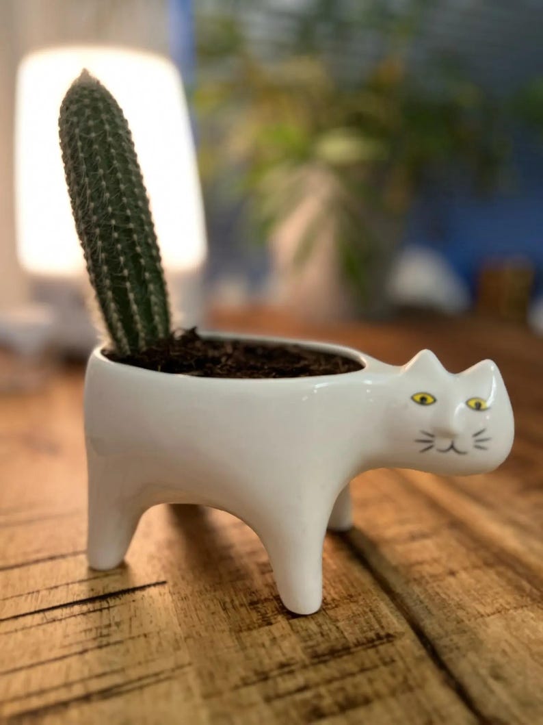 Goofy Cat Ceramic Planter, Succulent Plant Pots, Funny Animal Cactus ...