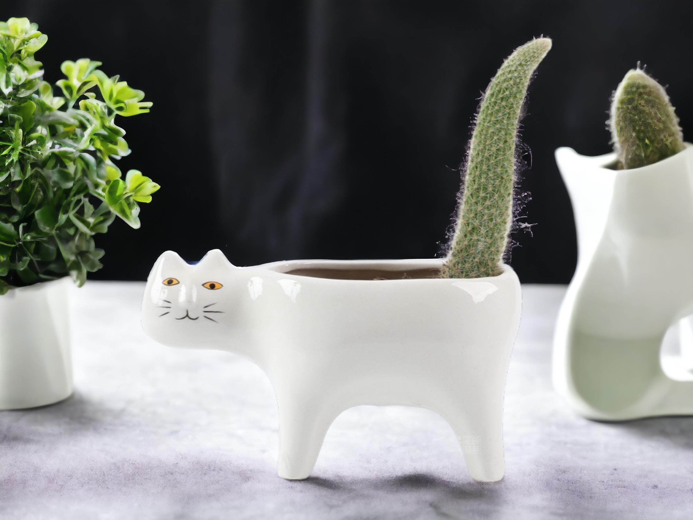 Goofy Cat Ceramic Planter, Succulent Plant Pots, Funny Animal Cactus ...