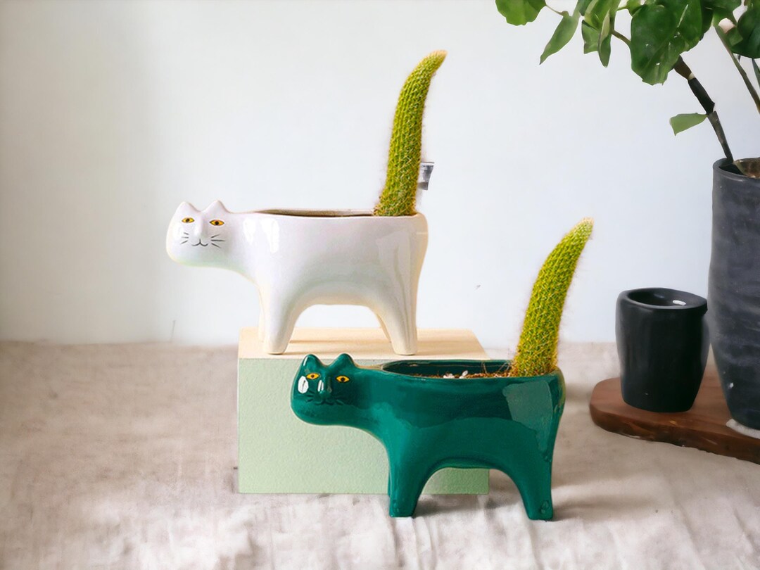 Goofy Cat Ceramic Planter, Succulent Plant Pots, Funny Animal Cactus ...