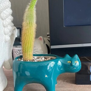 Goofy Cat Ceramic Planter, Succulent Plant Pots, Funny Animal Cactus ...